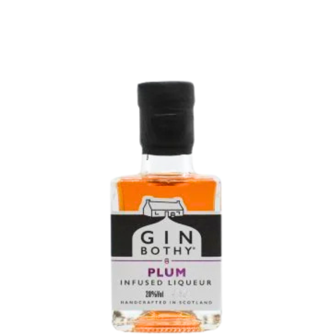 Gin Bothy Plum Liqueur Gin – The Spirits Embassy